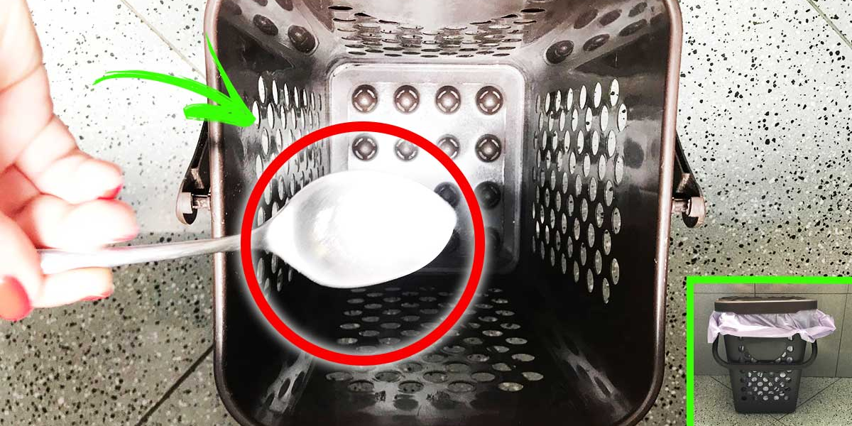 Como eliminar os maus odores do caixote do lixo – Dicas da avó Como eliminar os maus odores do caixote do lixo – Dicas da avó